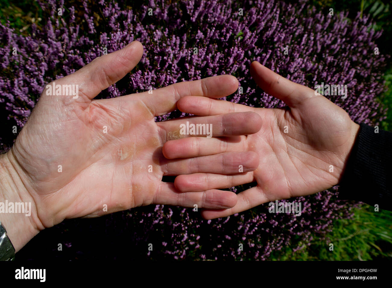 Fingers Interlocked High Resolution Stock Photography and Images - Alamy