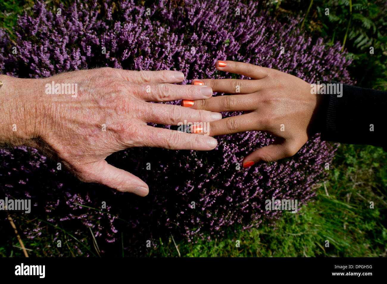 Girl man hands Stock Photo - Alamy