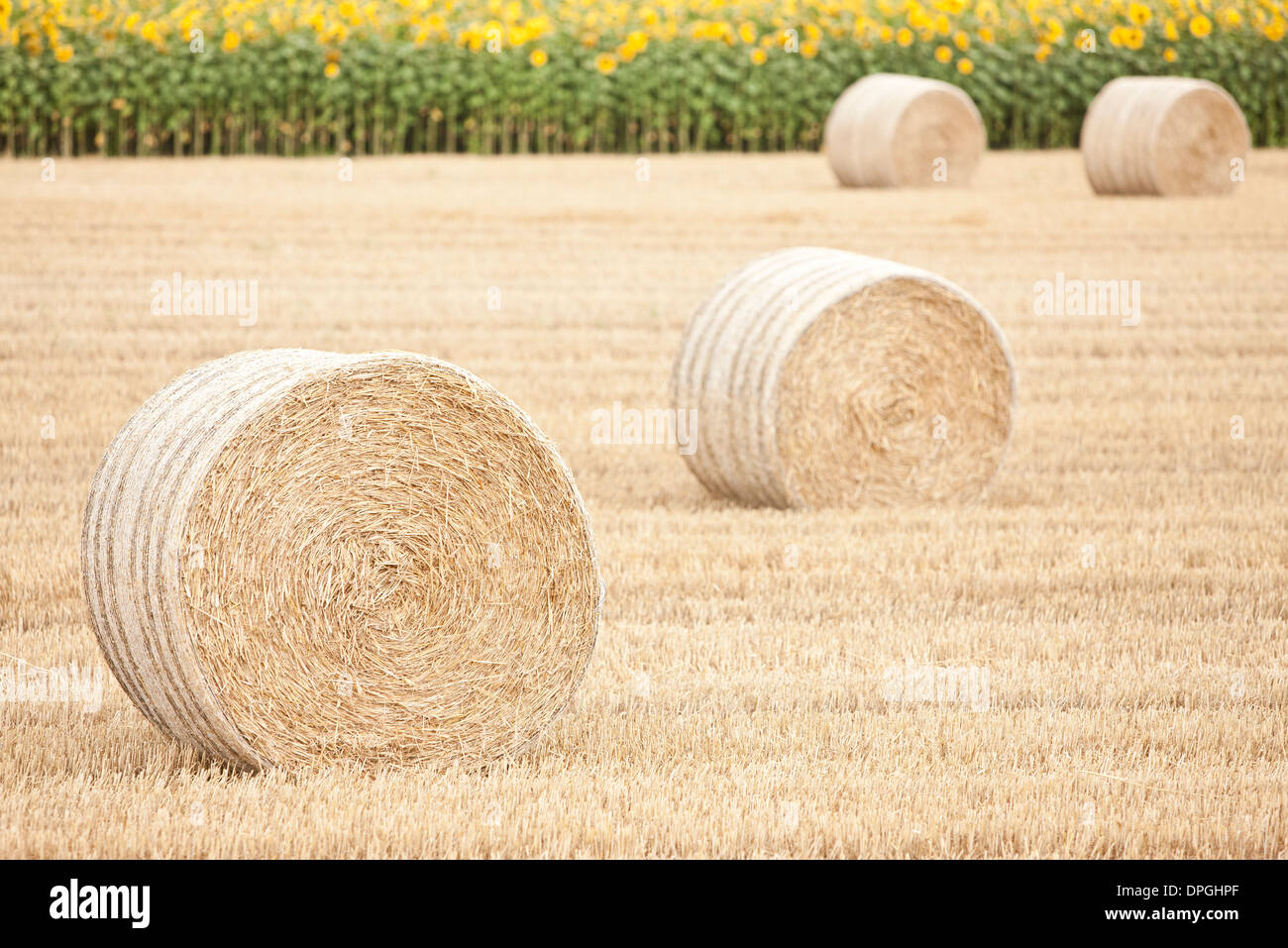 Round haybales hi-res stock photography and images - Alamy