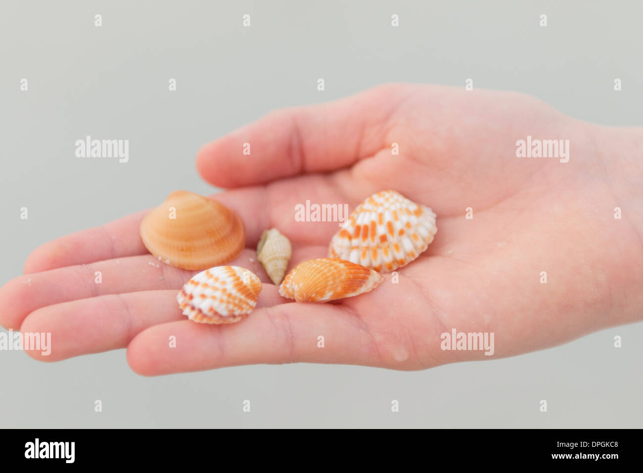 Handful seashells hi-res stock photography and images - Alamy