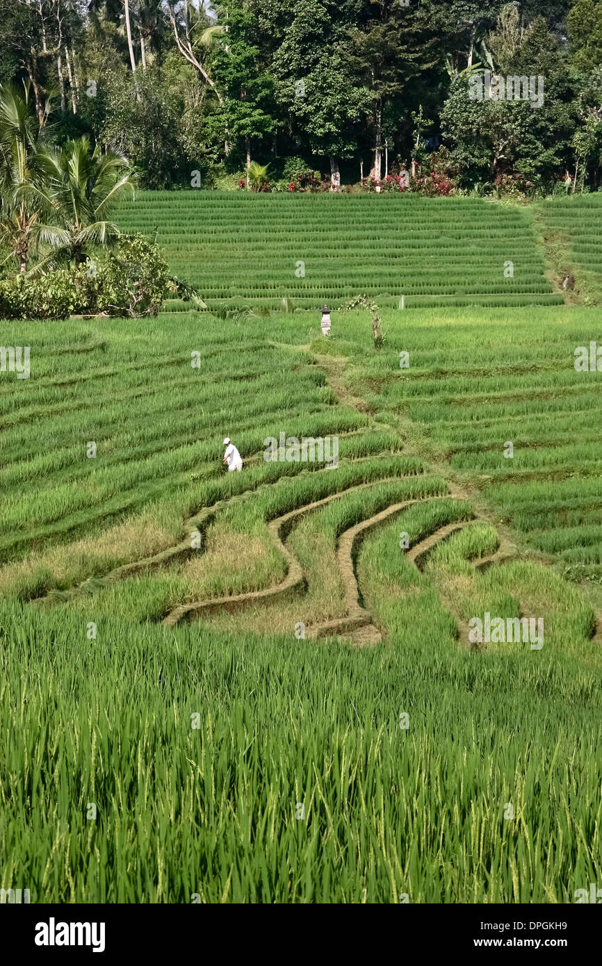 Greater bali area hi-res stock photography and images - Alamy