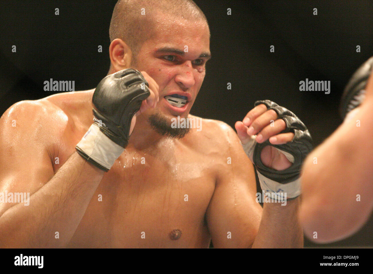 Stephen bonner hi-res stock photography and images - Alamy