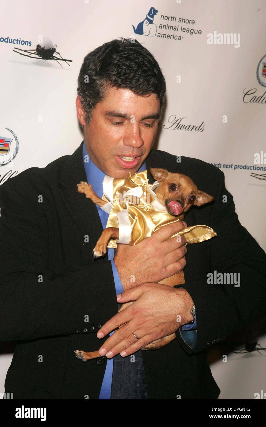 North shore animal league america hi-res stock photography and images ...