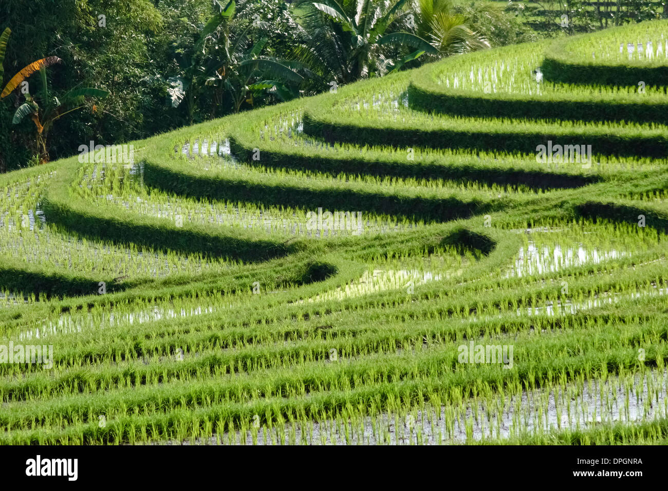 Greater bali area hi-res stock photography and images - Alamy