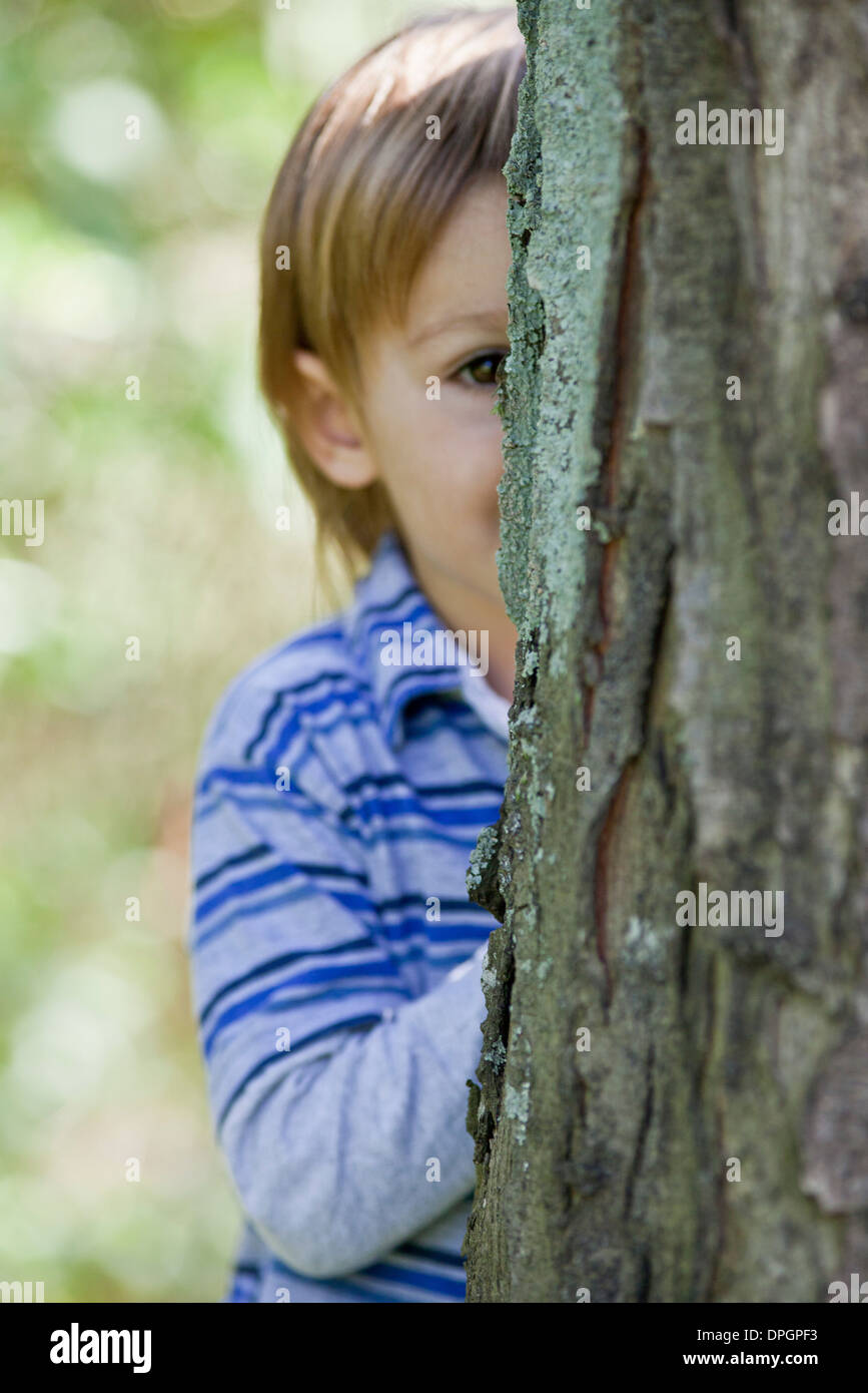Boy peeking from behind tree Stock Photo - Alamy