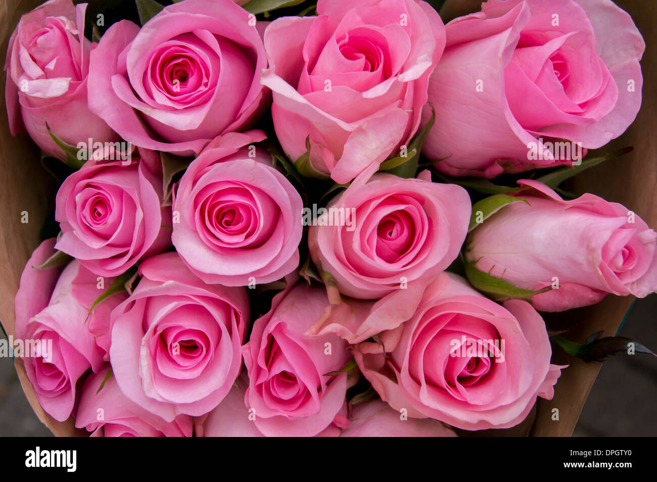 Roses pink bunch Stock Photo - Alamy