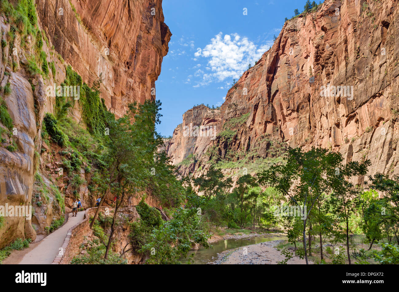Walkers on the Riverside Walk alongside the Virgin River at Temple of ...