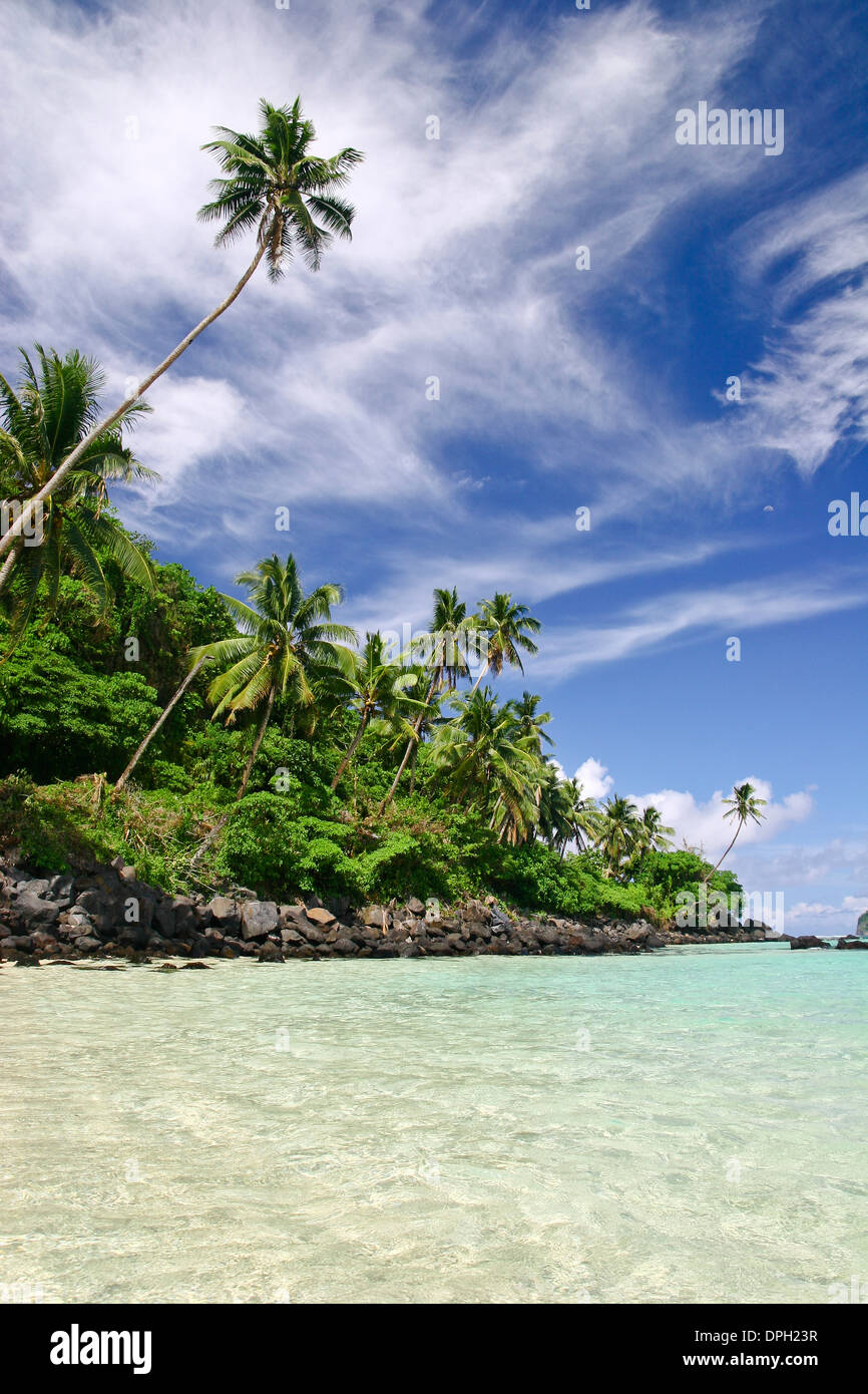 Beach with palm trees, Samoa Stock Photo - Alamy
