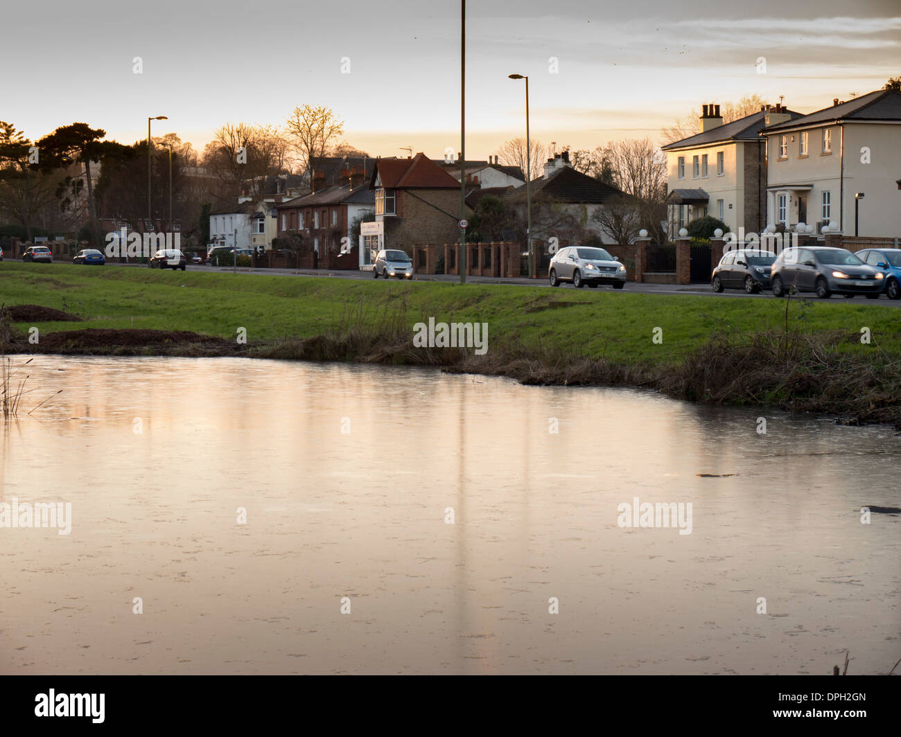 europe, UK, England, Surrey, Esher pond winter Stock Photo - Alamy