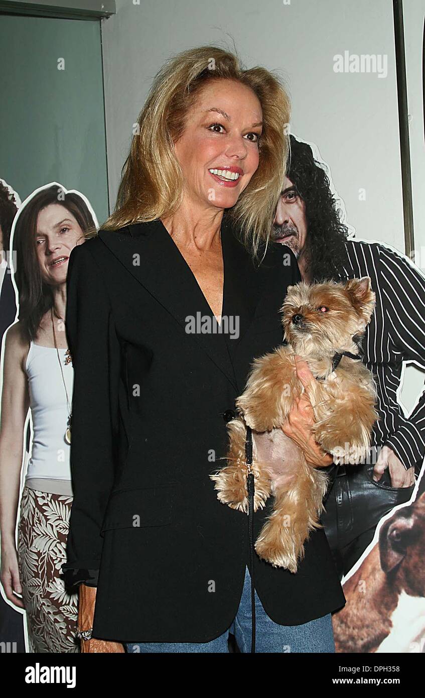 Kieselstein hi-res stock photography and images - Alamy