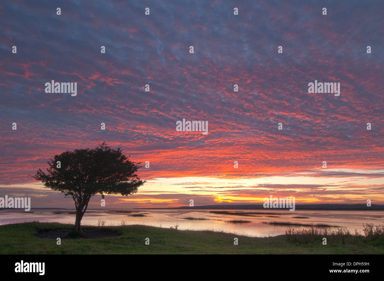 Sunset at Penclawdd, north Gower Stock Photo - Alamy