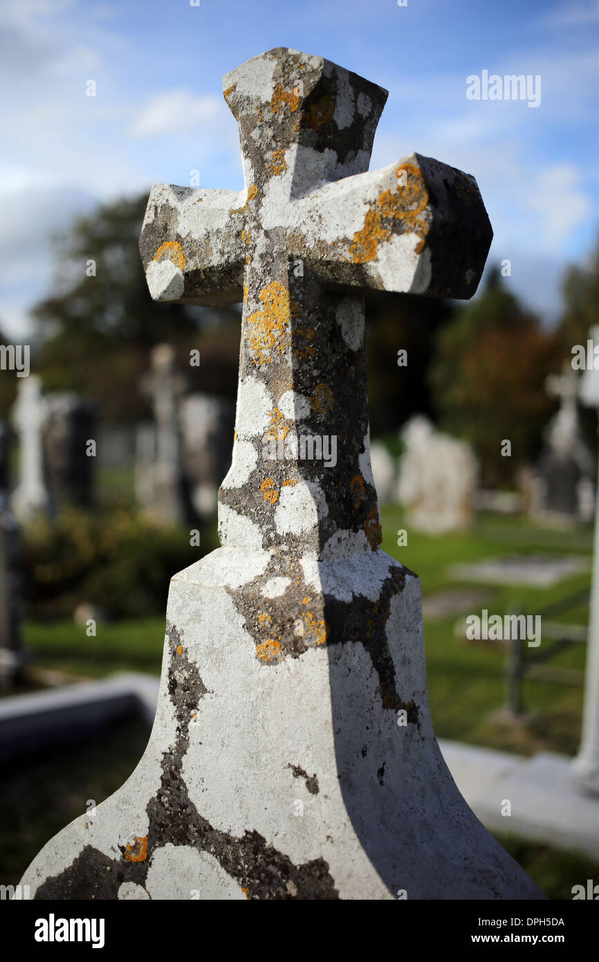 Quin abbey hi-res stock photography and images - Alamy