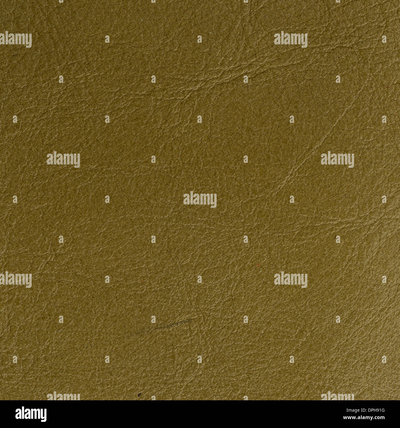 Green leather texture hi-res stock photography and images - Alamy