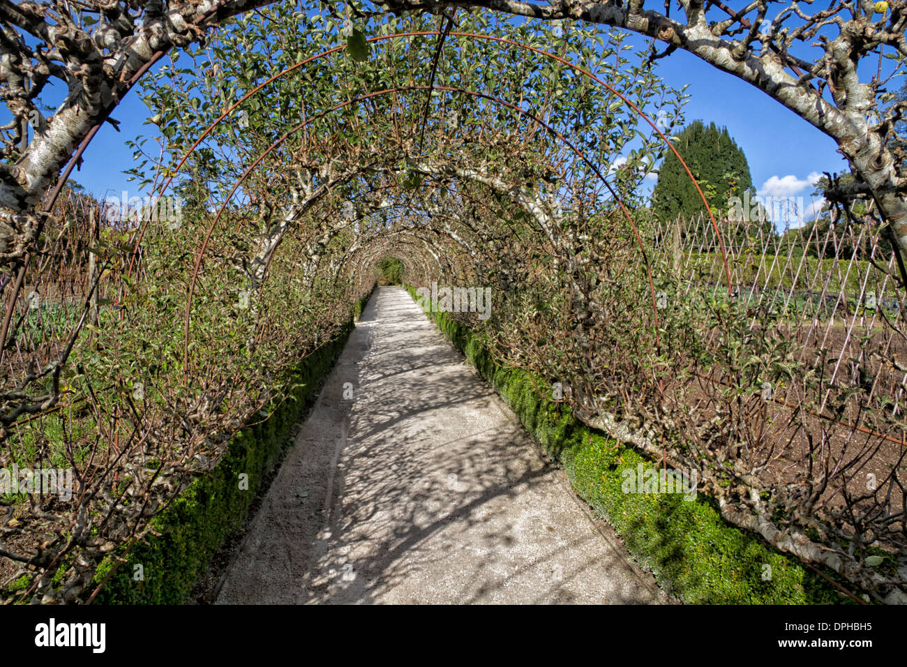 Arbours hi-res stock photography and images - Alamy