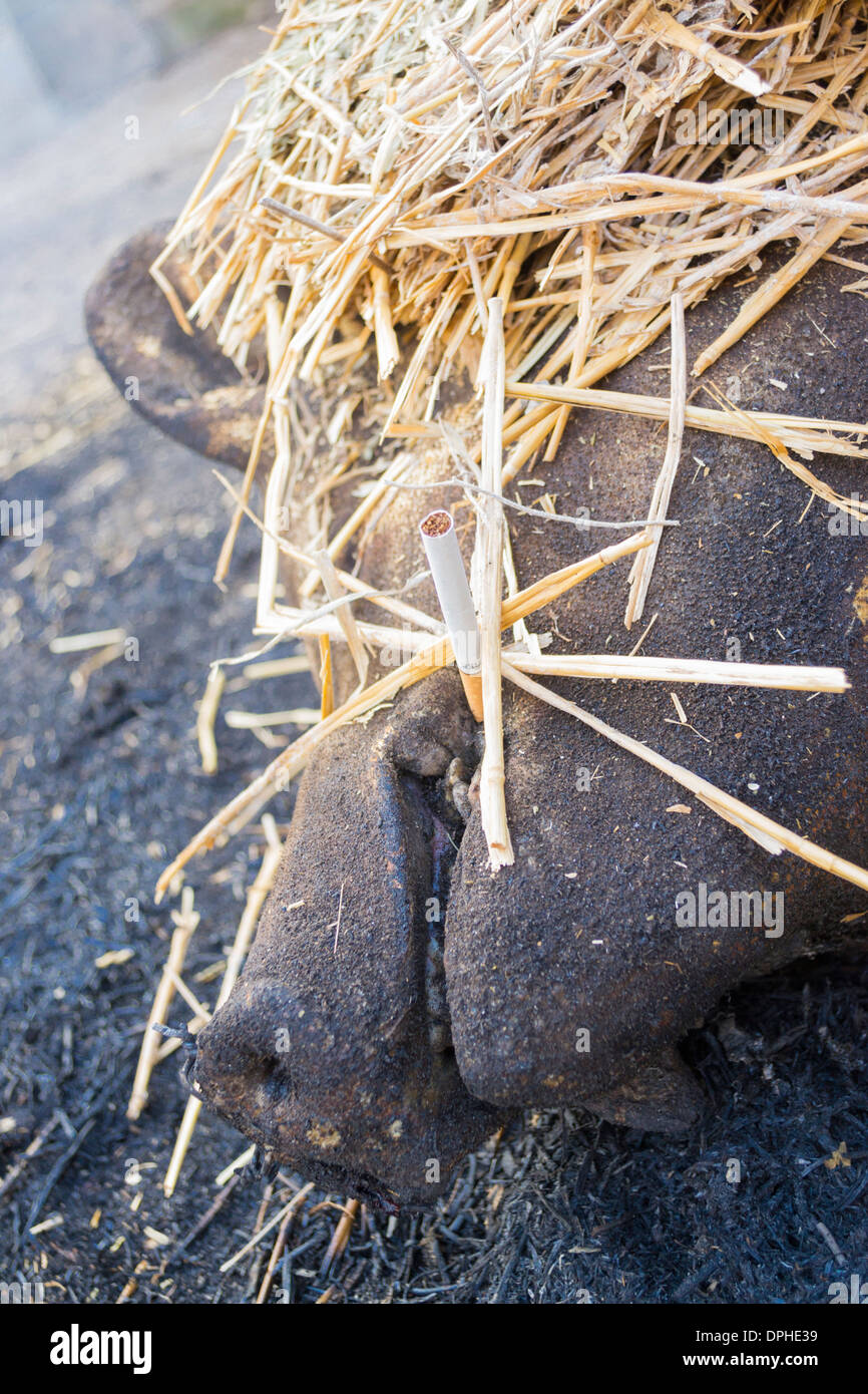 Traditional way of killing a pig in rural Romania - Burned pig covered ...