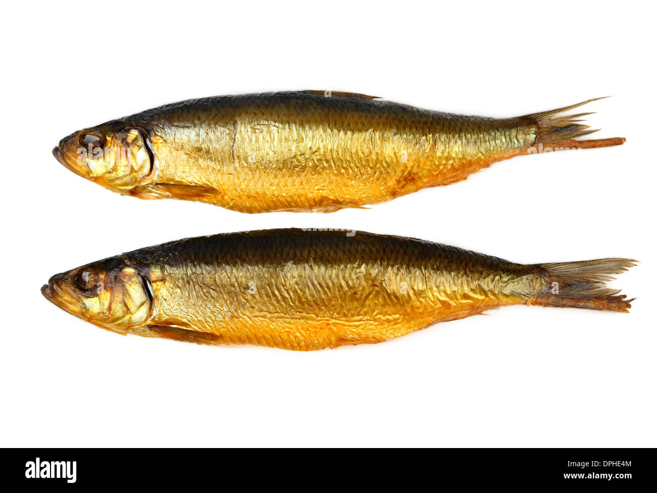 Backgrounds full view Cut Out Stock Images & Pictures - Alamy