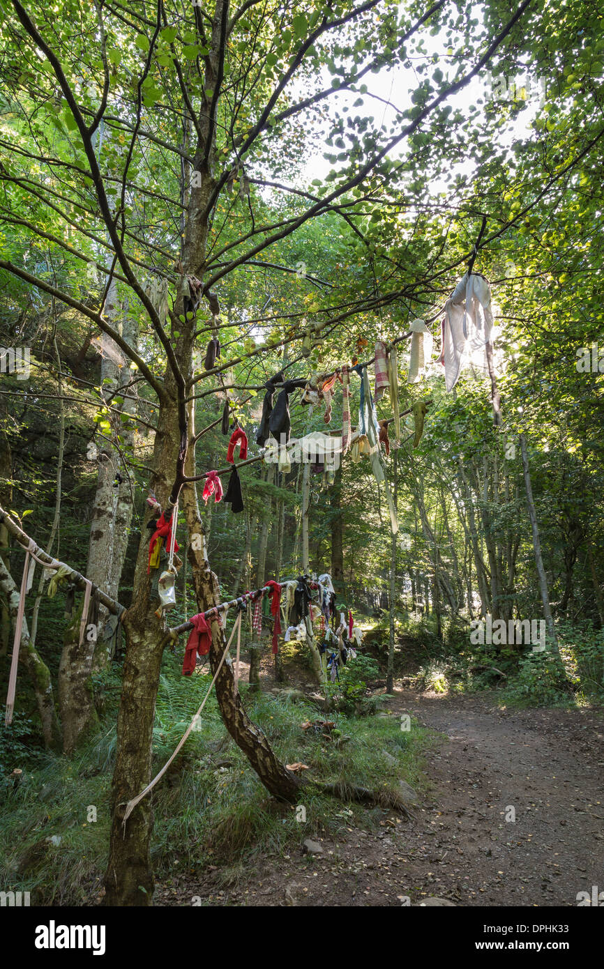St Mary's Well at Culloden woods in Inverness-shire,Scotland Stock ...