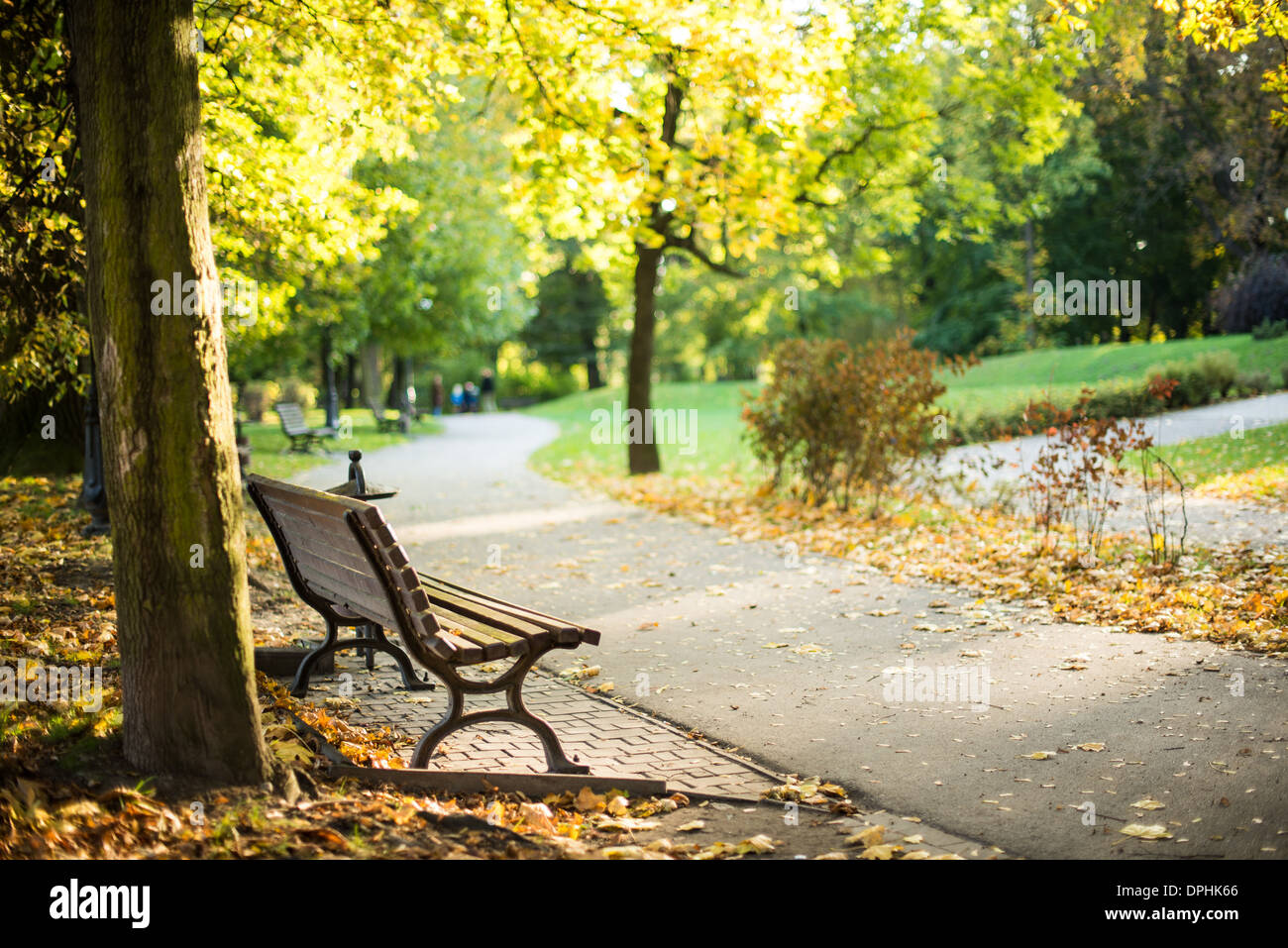 Bench in the Park in Summer Time. One Silent and Peaceful Place Stock ...