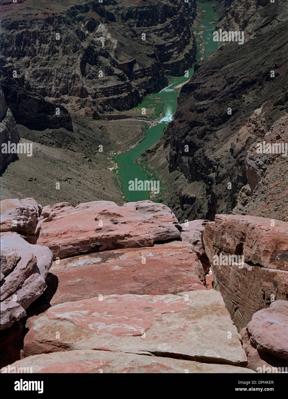 Colorado River with green water from Toroweap Point. View down river to ...