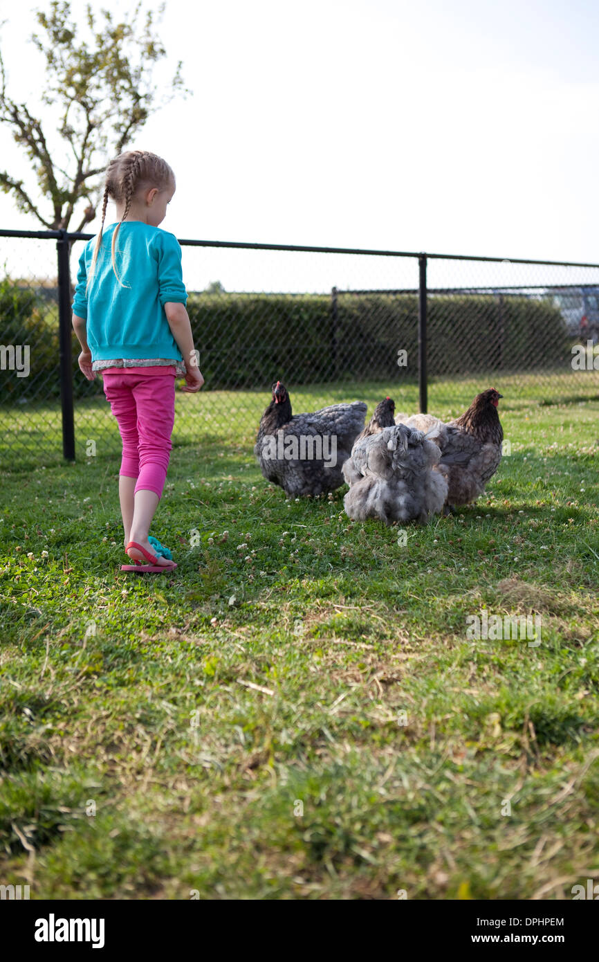 Young girl approaching three hens on a farm Stock Photo - Alamy