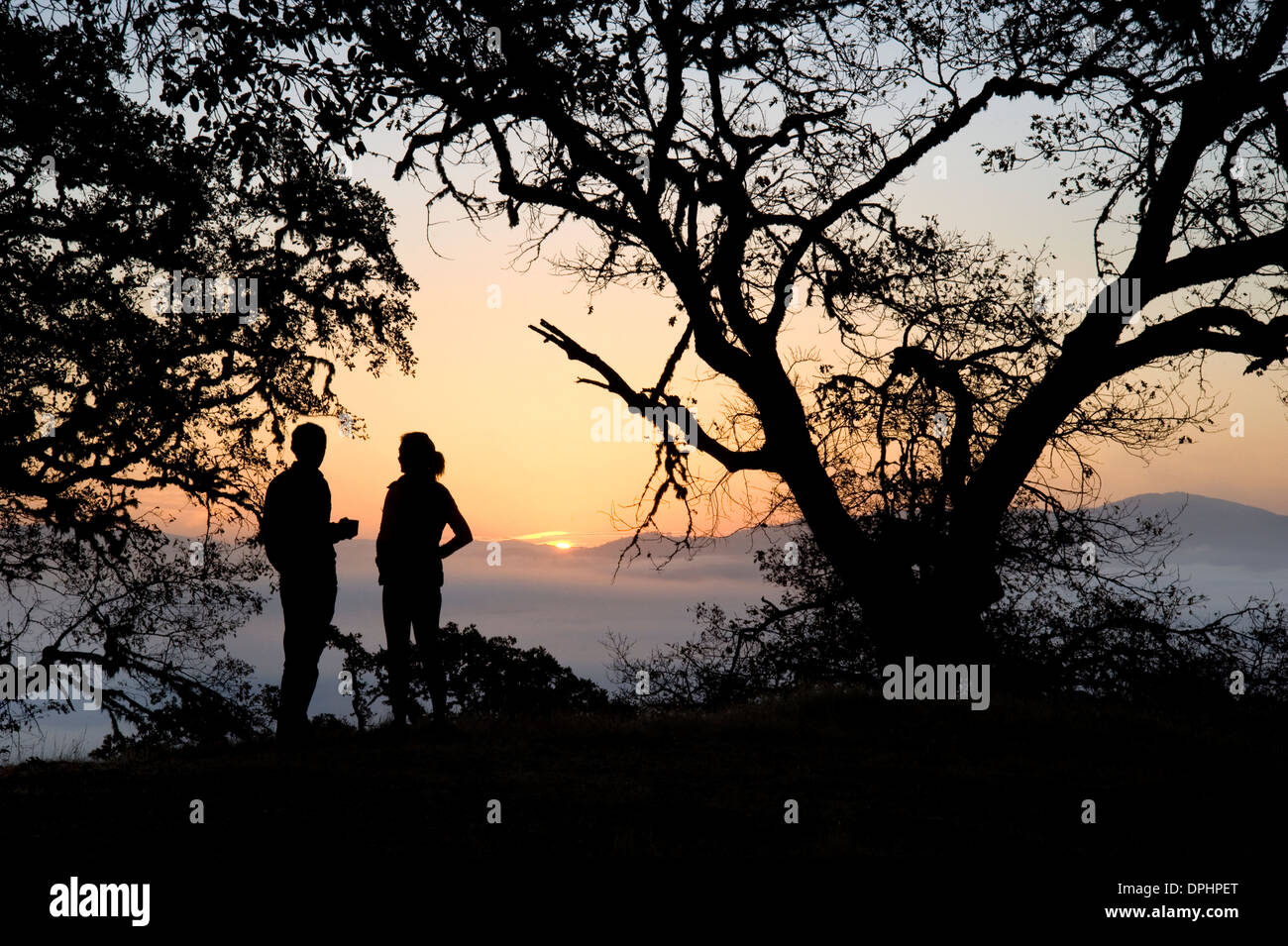 Man woman couple looking natural scenery hi-res stock photography and ...