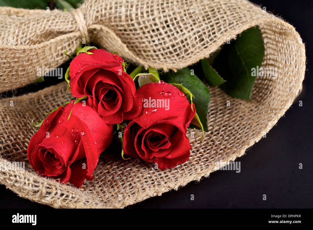 Wet roses hi-res stock photography and images - Alamy