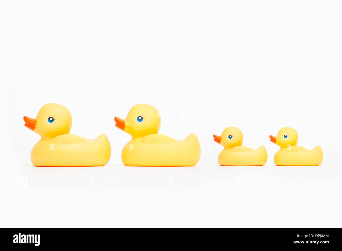 Rubber ducks in a row Stock Photo - Alamy