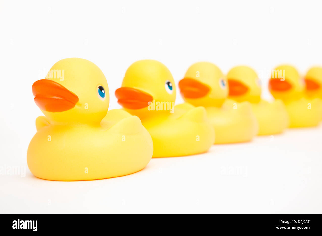 Rubber ducks in a row Stock Photo - Alamy
