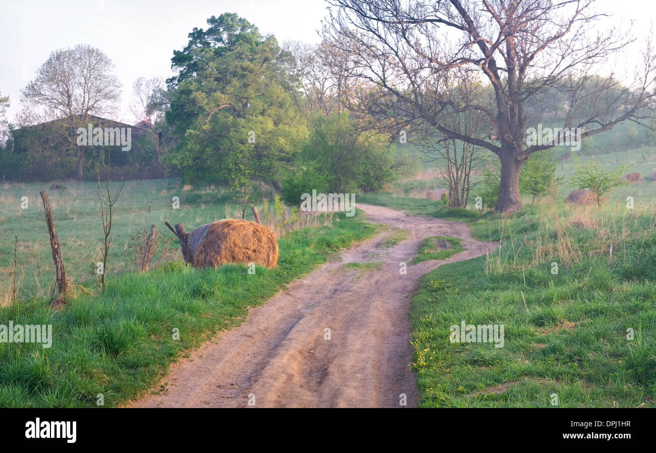 landscape with rural sandy road Stock Photo - Alamy