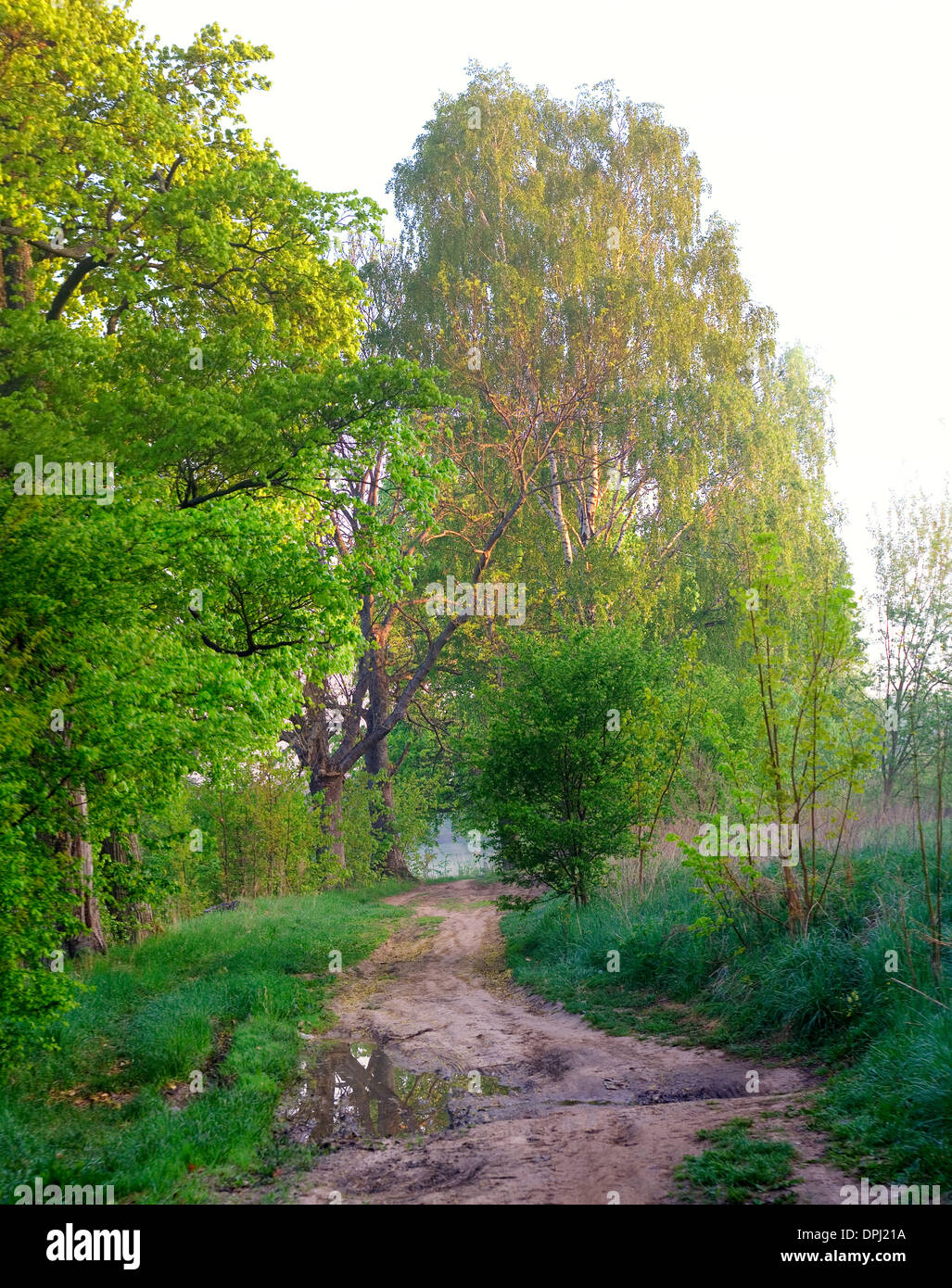 landscape with rural sandy road Stock Photo - Alamy