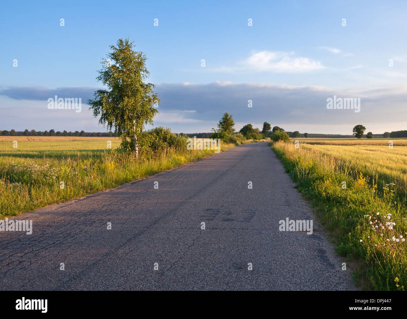 landscape with road Stock Photo - Alamy