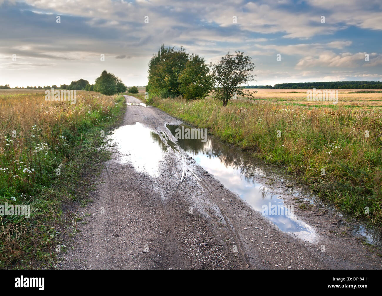 Sandy rural road near fields, typical polish viallage landscape Stock ...