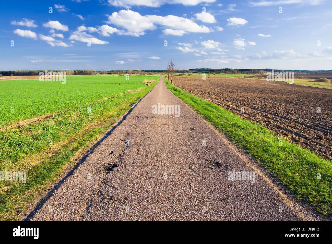 landscape with road Stock Photo - Alamy