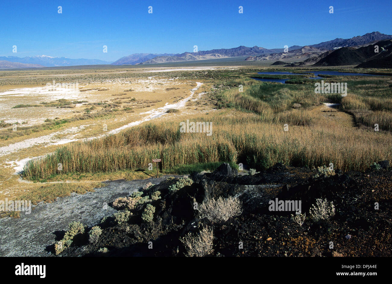 Saratoga California High Resolution Stock Photography and Images - Alamy