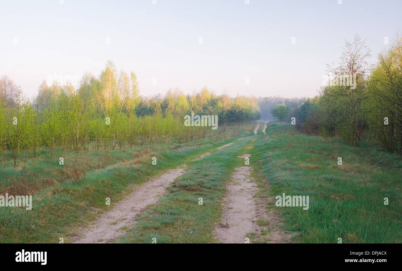 rural sandy road at sunrise Stock Photo - Alamy