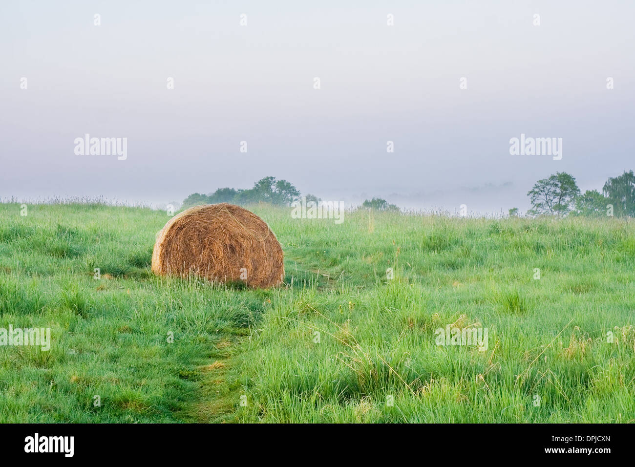 landscape with bales of hay at sunset Stock Photo - Alamy