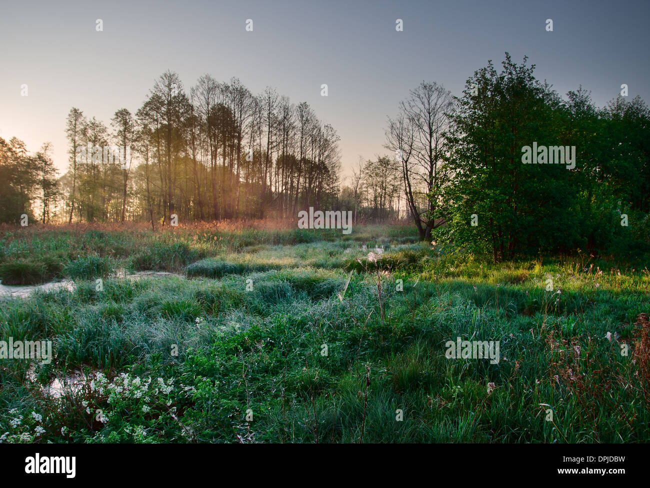 landscape with stream Stock Photo - Alamy