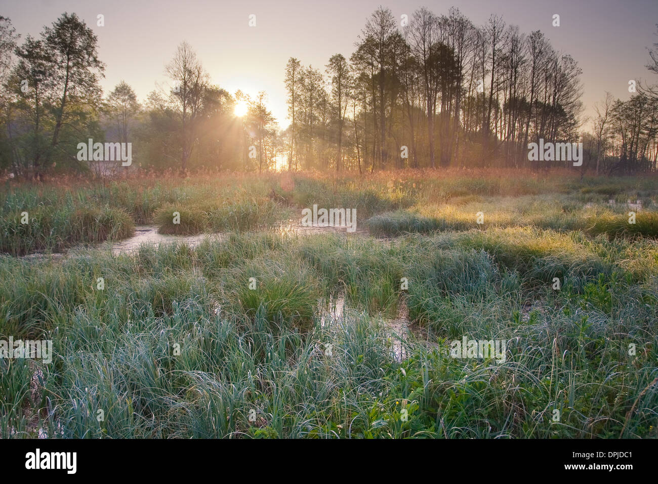 landscape with stream Stock Photo - Alamy
