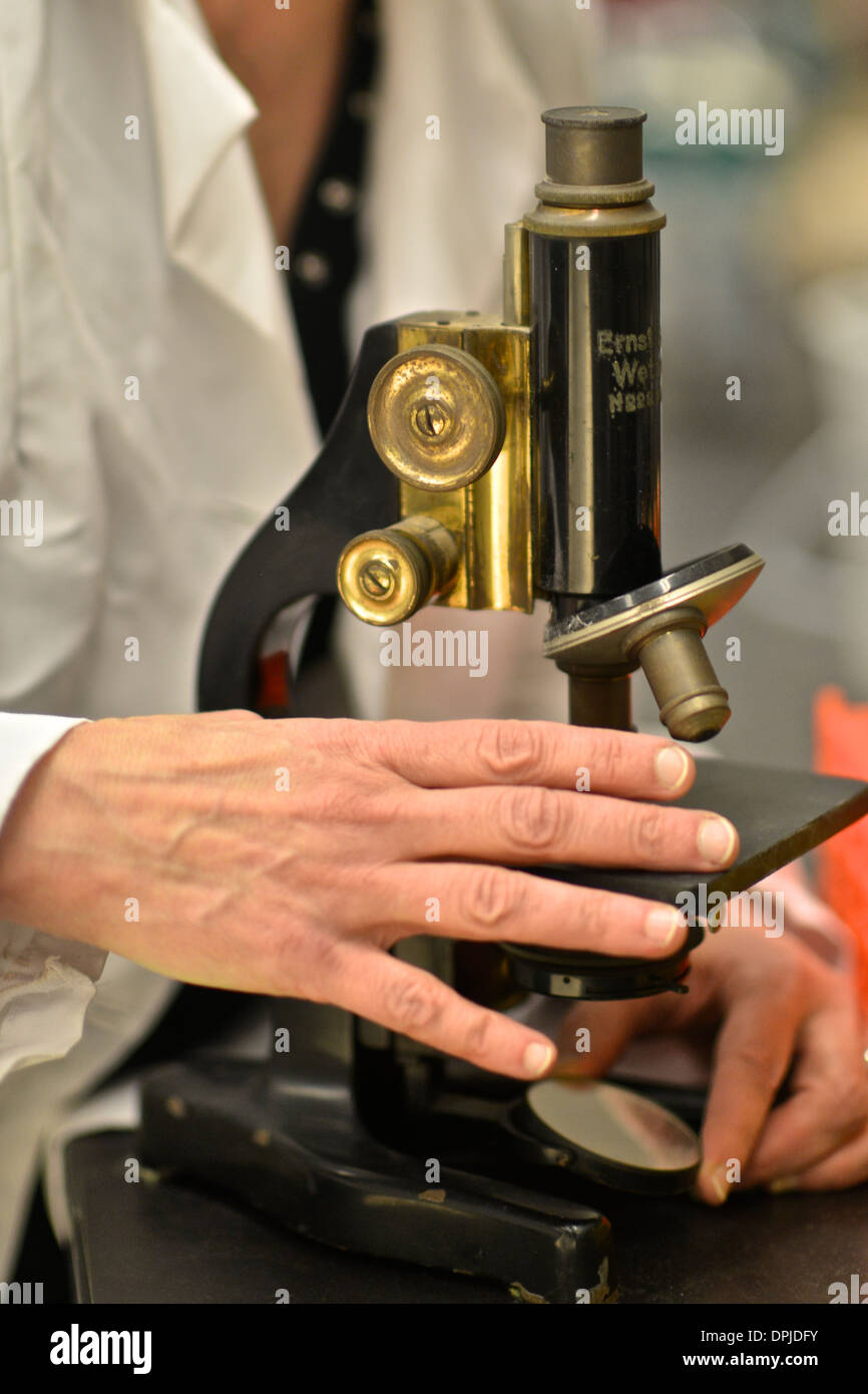 Vintage Leitz microscope Stock Photo - Alamy