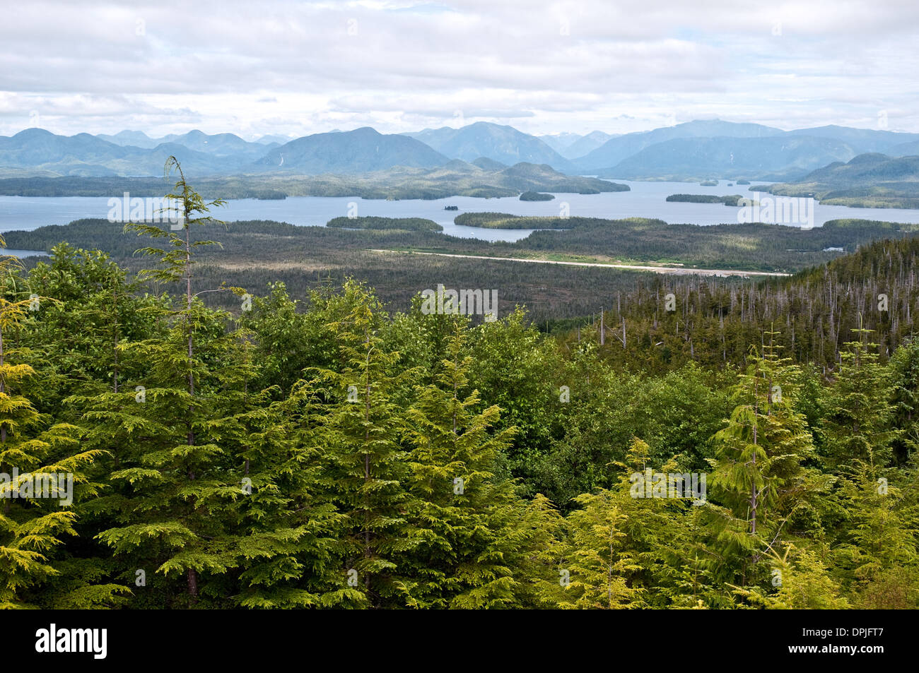 A view of the Great Bear Rainforest, seen from a mountaintop above the ...