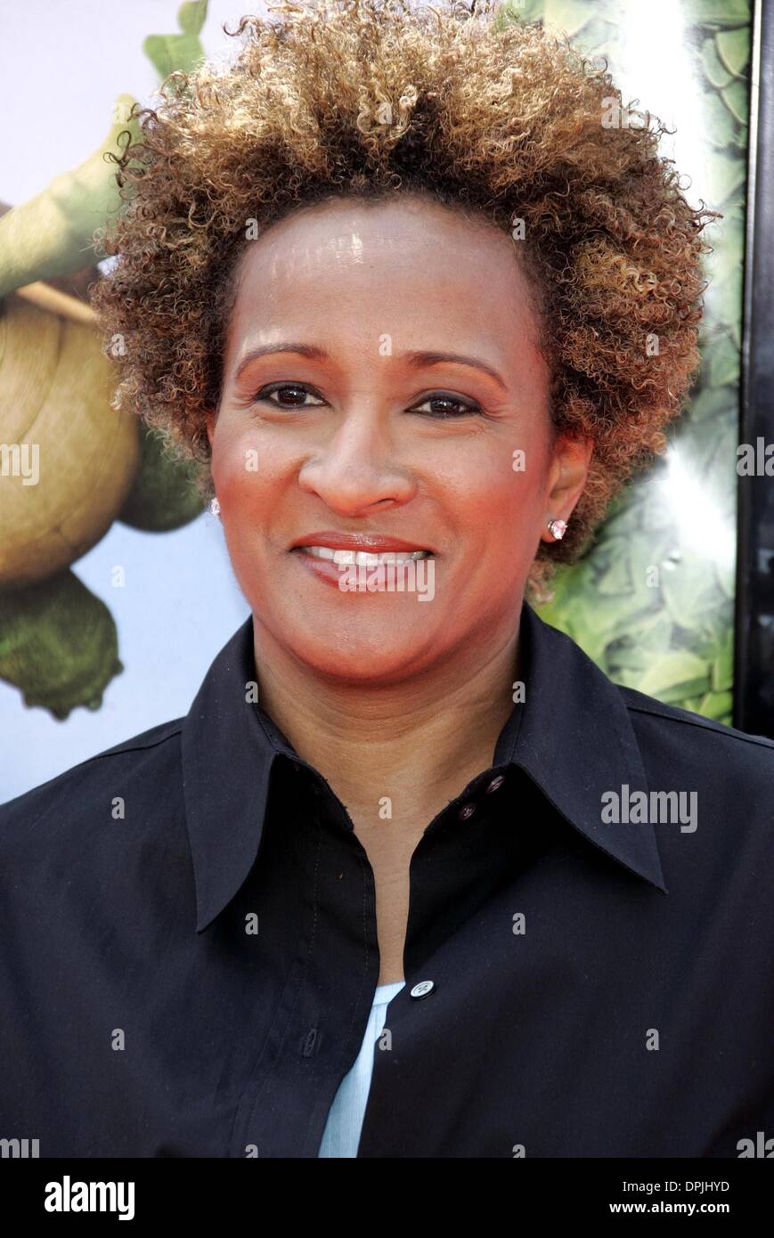 Actress Wanda Sykes High Resolution Stock Photography and Images - Alamy
