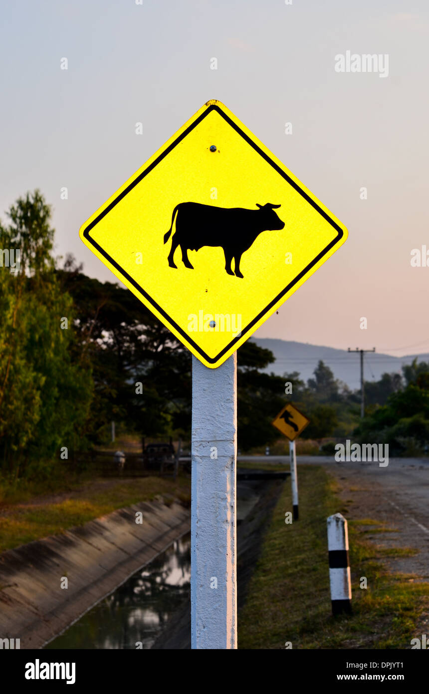 Cow warning sign hi-res stock photography and images - Alamy