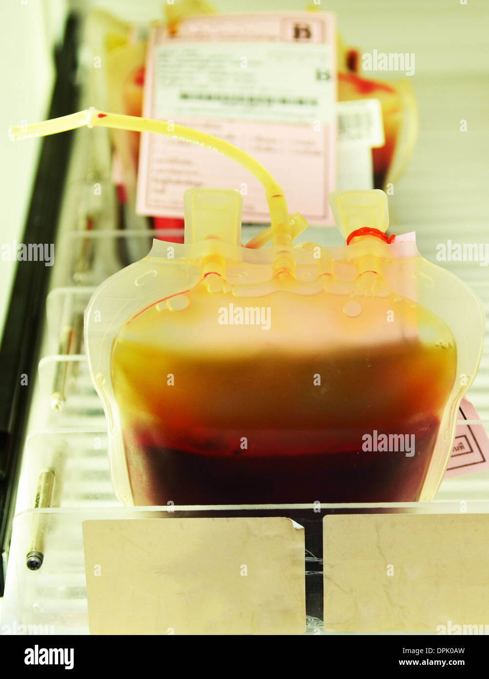 Storage of blood cells hi-res stock photography and images - Alamy