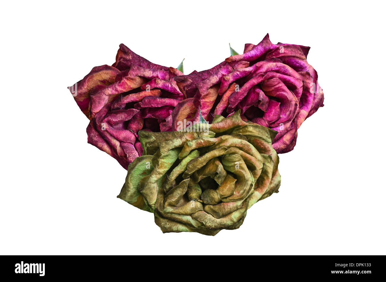 So hart Cut Out Stock Images & Pictures - Alamy