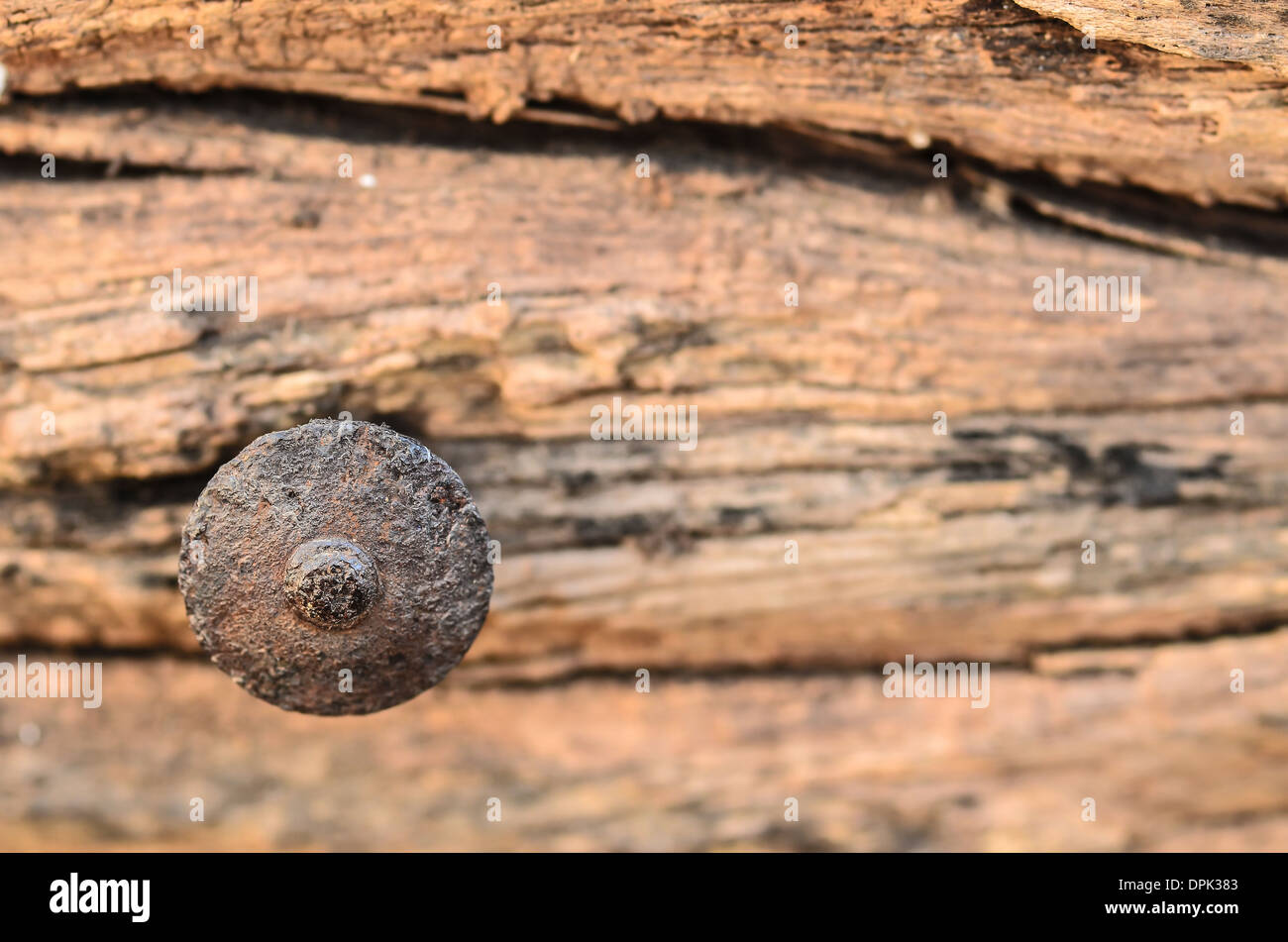 Nail in wood hi-res stock photography and images - Alamy