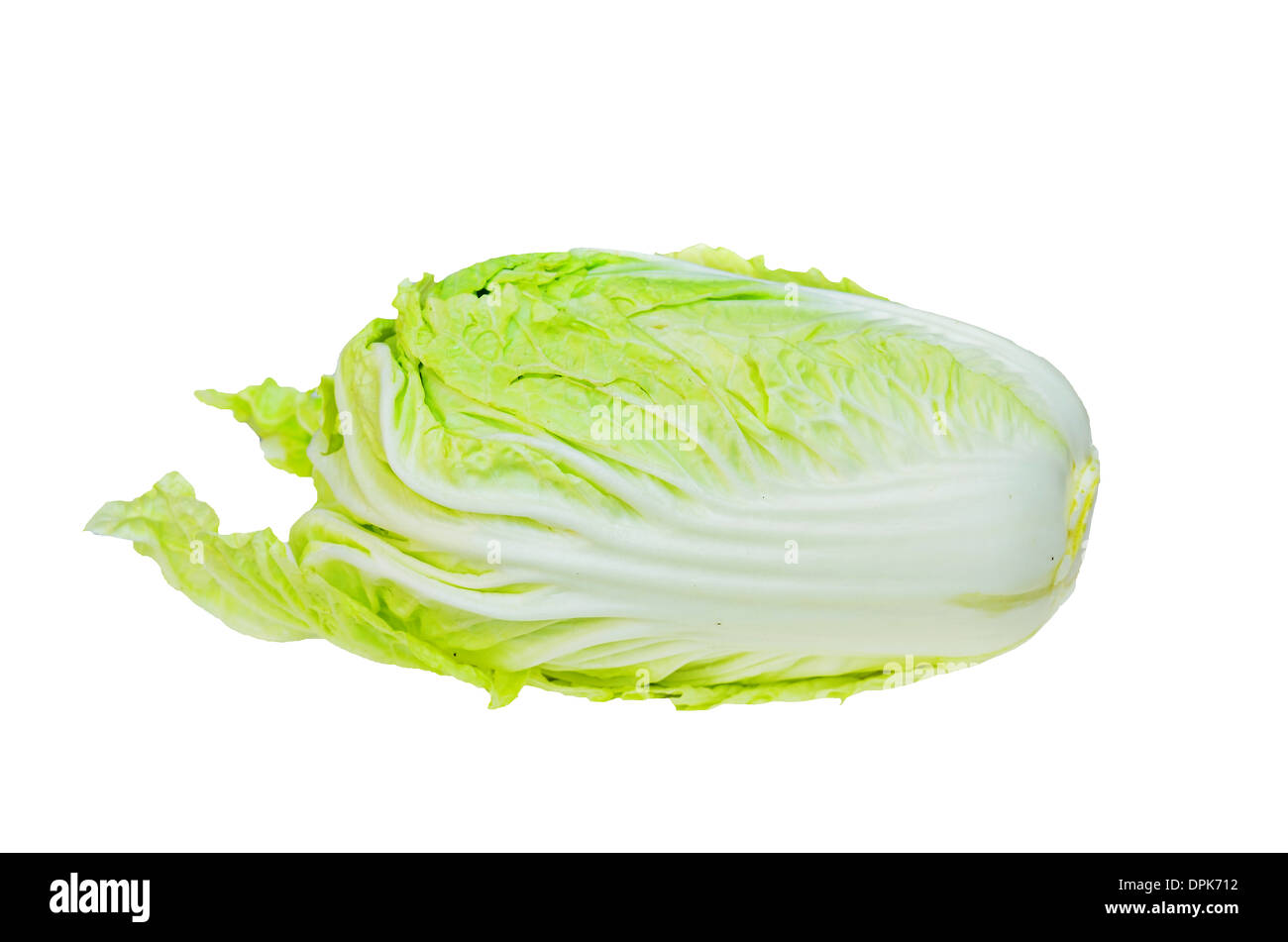 Chinese cabbage isolated hi-res stock photography and images - Alamy