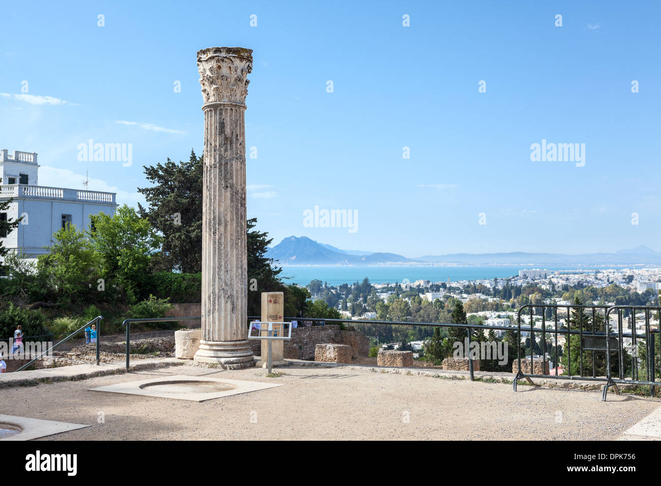 Corinthian columns in the Carthage Museum. Ruins of an ancient ...