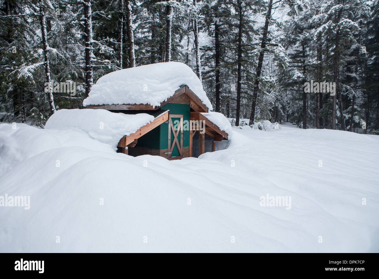 Chicken shed winter hi-res stock photography and images - Alamy