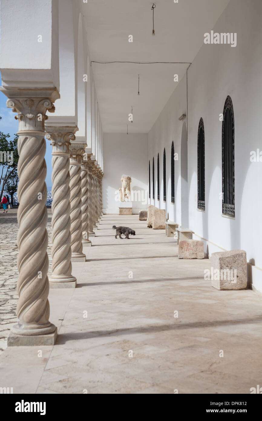Columns of the building of the National Historical Museum in Carthage ...
