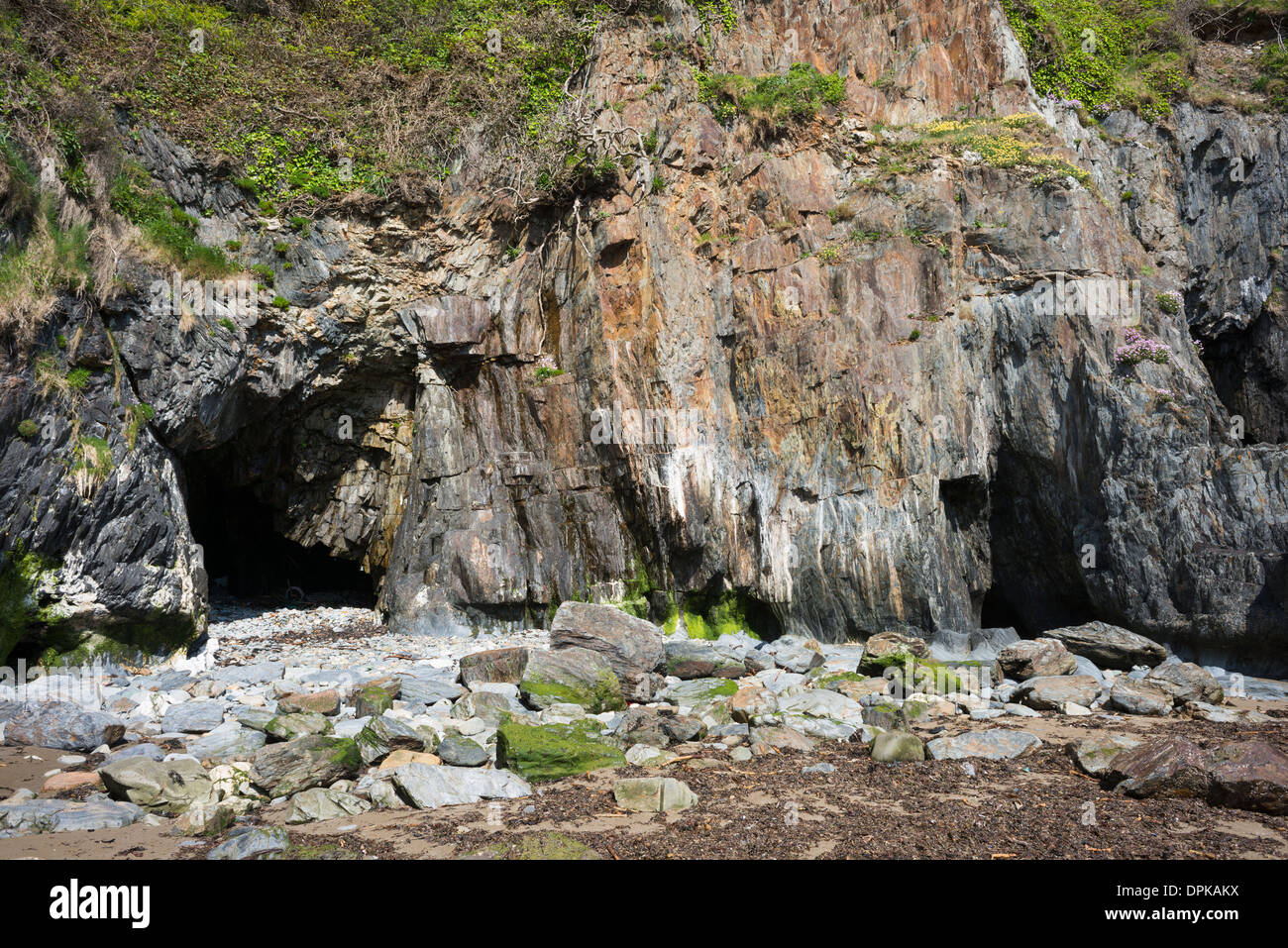 Small rocky cliffs of Ordovician marine sediments at Stradbally Cove ...